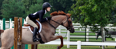 Duzan Riding Academy – Duzan Riding Academy