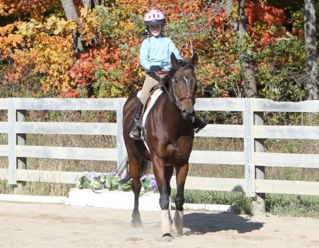 Lessons – Duzan Riding Academy